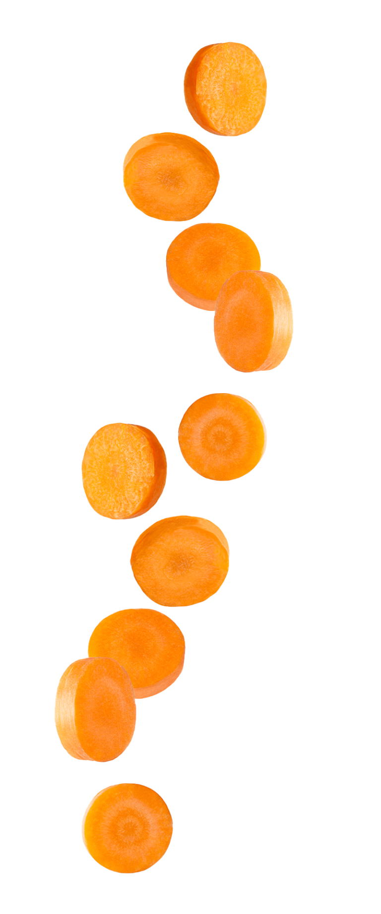 Futomaki – Curtiriso